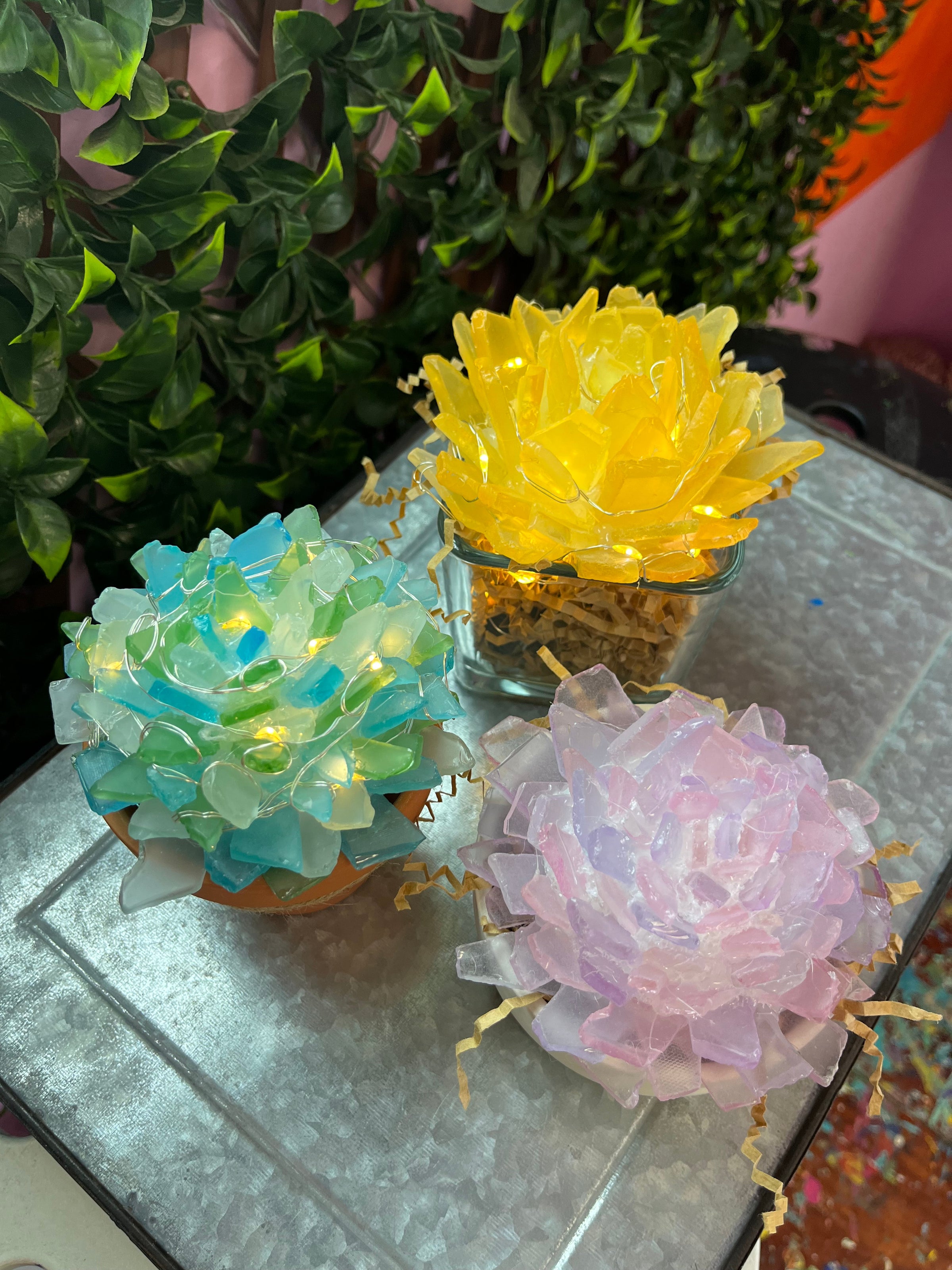 Sea Glass Succulents | Make Something Studio!